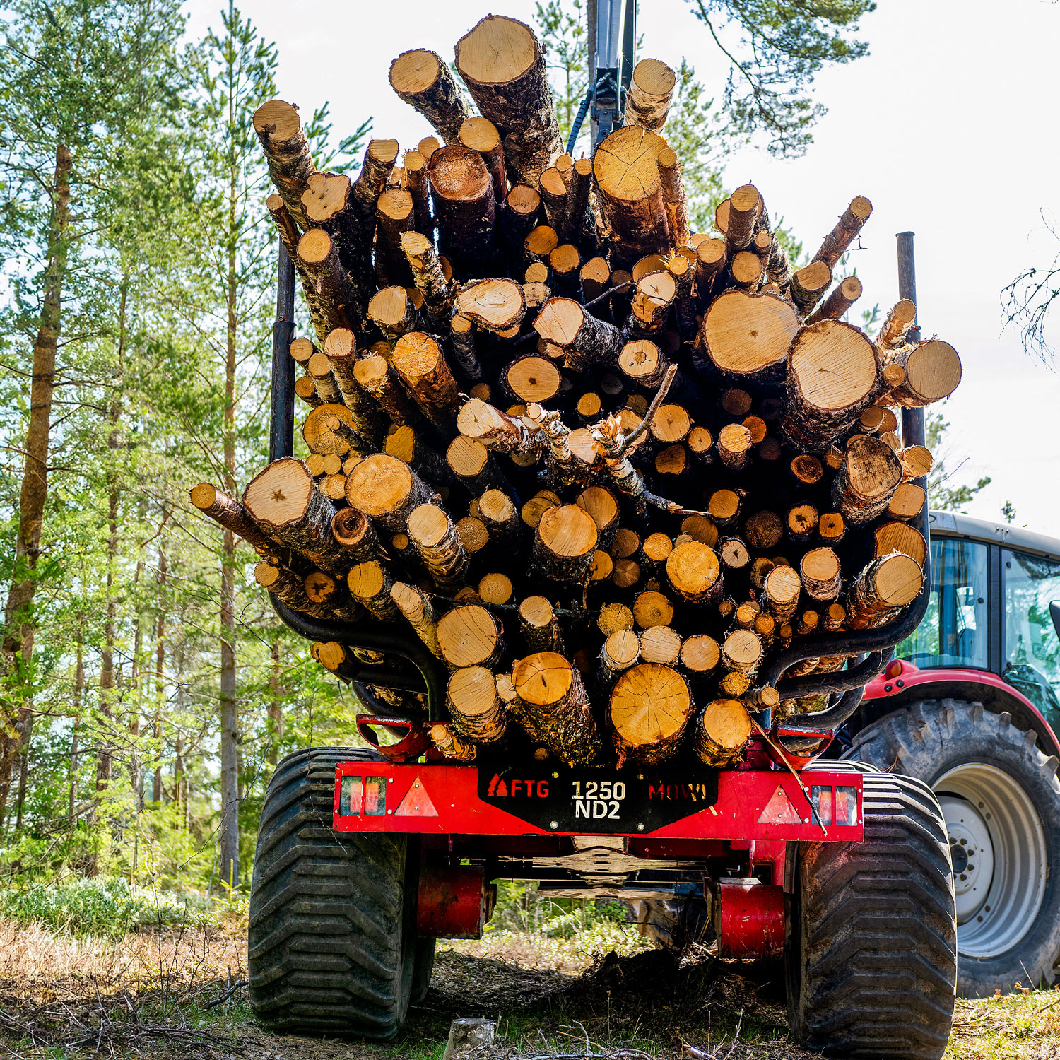 Forest Trailers Archives - Mowi